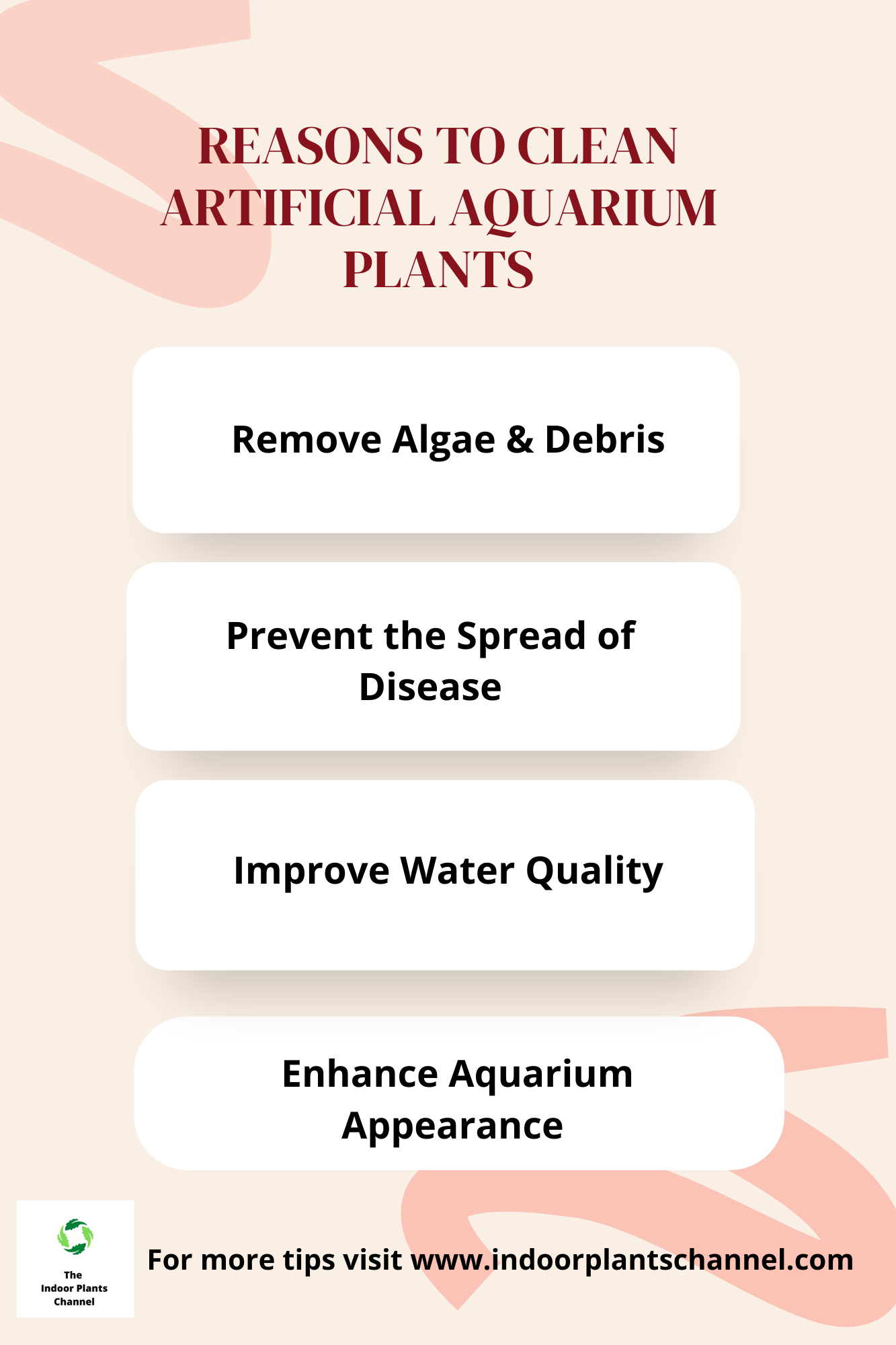 Aquarium Plants Cleaning Guide: Keep Them Spotless & Safe