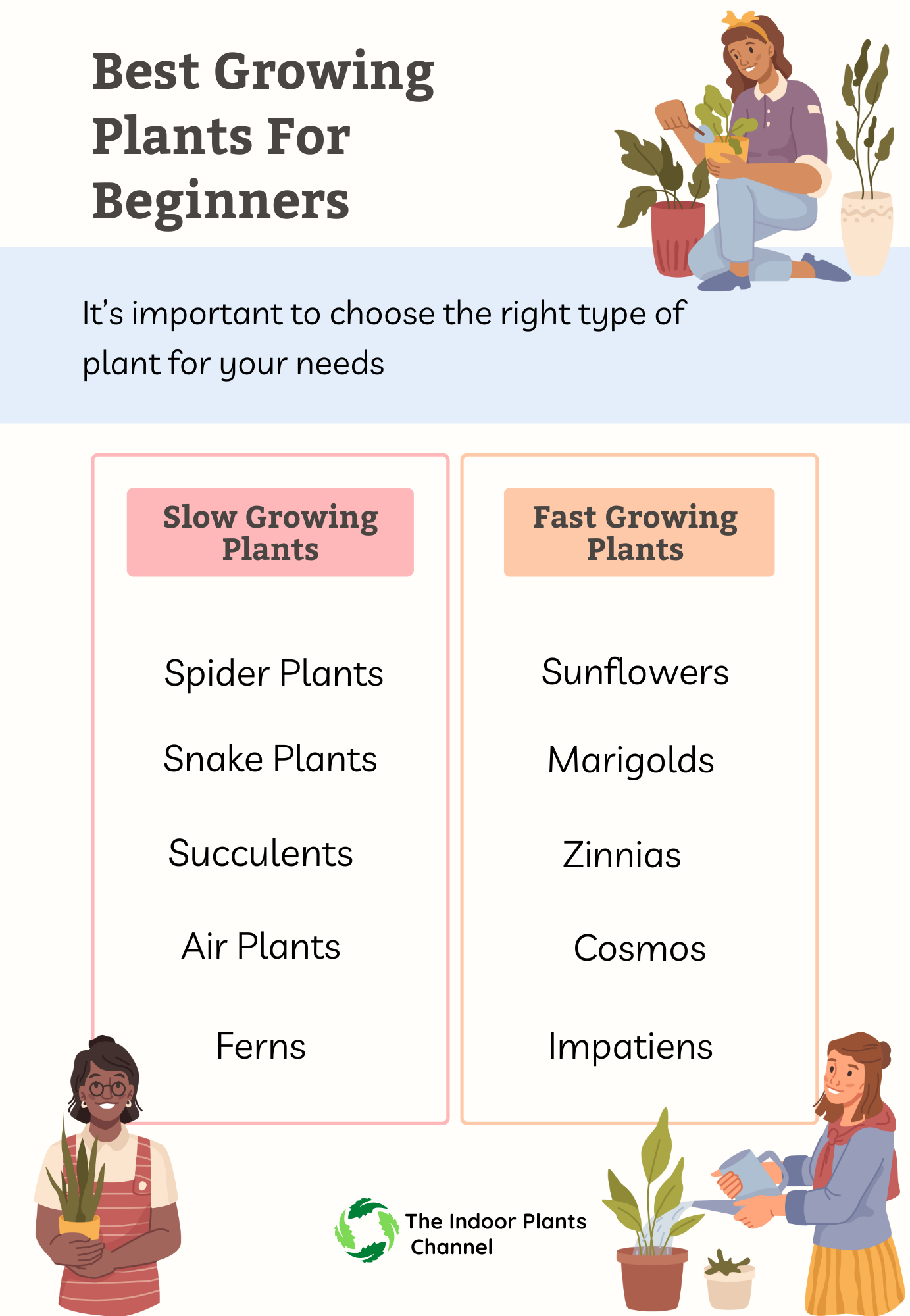 Slow Vs Fast Growing Plants: Key Differences Explained
