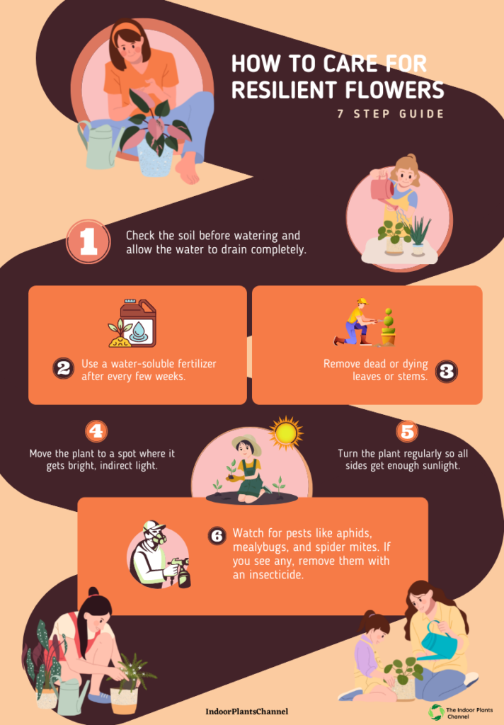 Resilient Plants And Flowers: The Top 10 For Your Garden