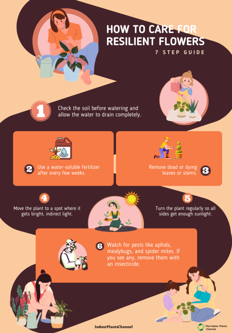 Resilient Plants And Flowers: The Top 10 For Your Garden