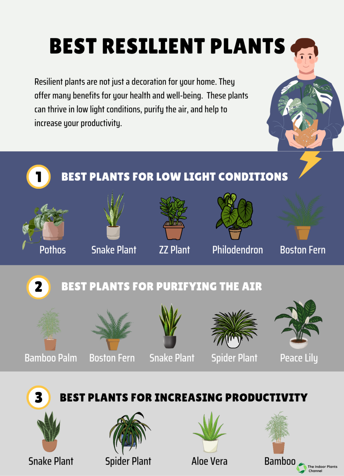 Toughest Plants That Can Survive The Harshest Conditions