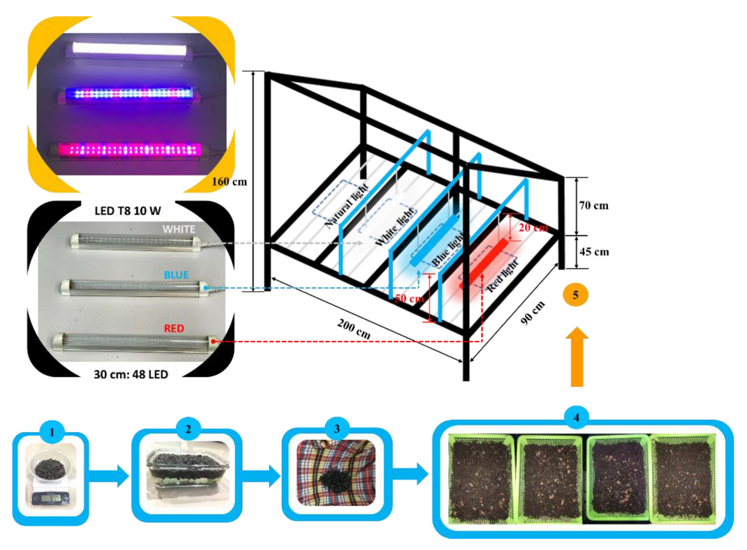 Indoor Plant Grow Lights Guide: Complete Selection and Setup
